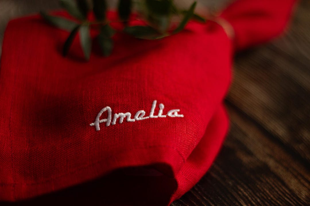 Personalized Embroidered Dinner Napkins - Custom Monogrammed Cloth ...