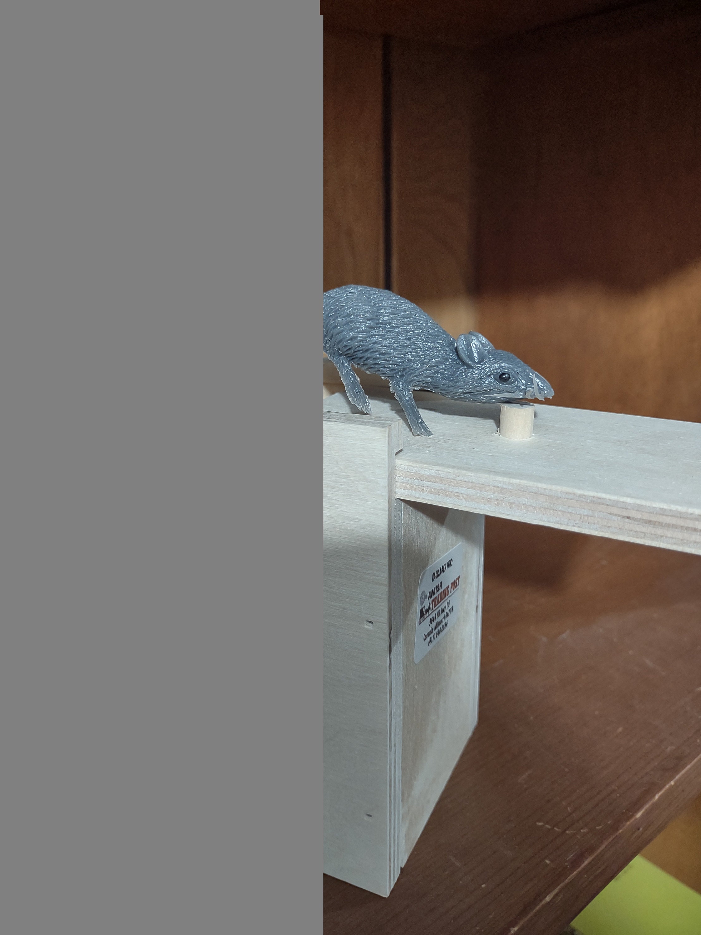 Amish Trick Mouse Box - Etsy