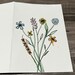Hand Painted Watercolor Card Wildflowers - Etsy