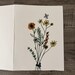 Hand Painted Watercolor Card Wildflowers - Etsy