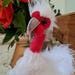 Crazy Birds - Harald Huhn - - Etsy