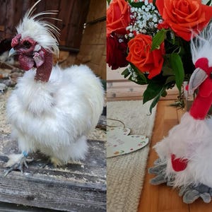 Crazy Birds Harald Huhn - Etsy