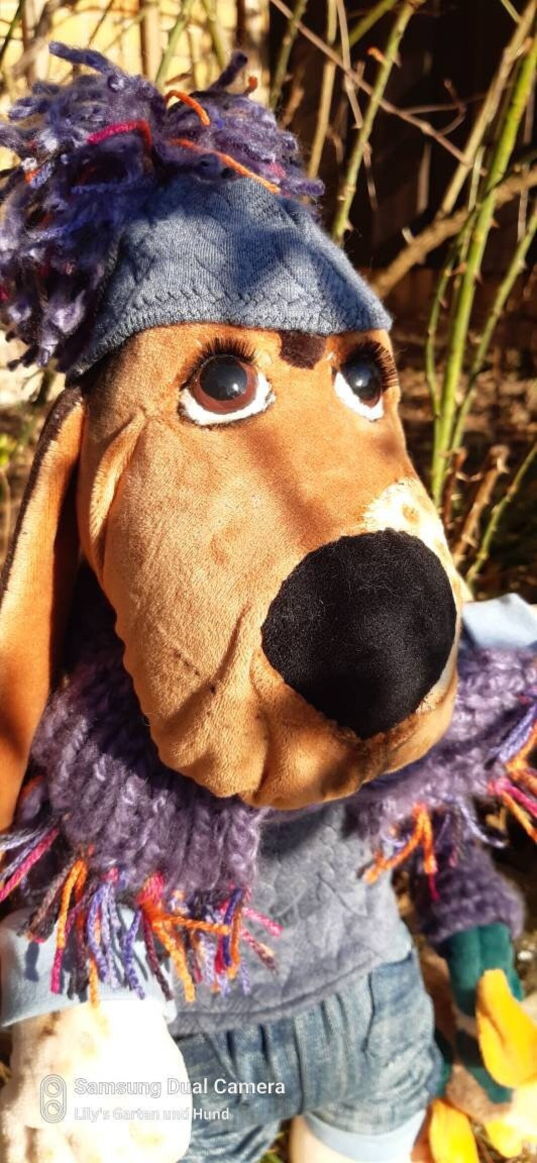 Doggy Basset Hound Matzo-whoopsy With His Duck - Etsy