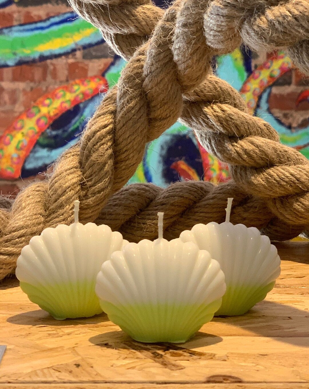 Handmade Two-tone Trio of Scallop Mermaid Vibes Sea Shells 3 - Etsy UK