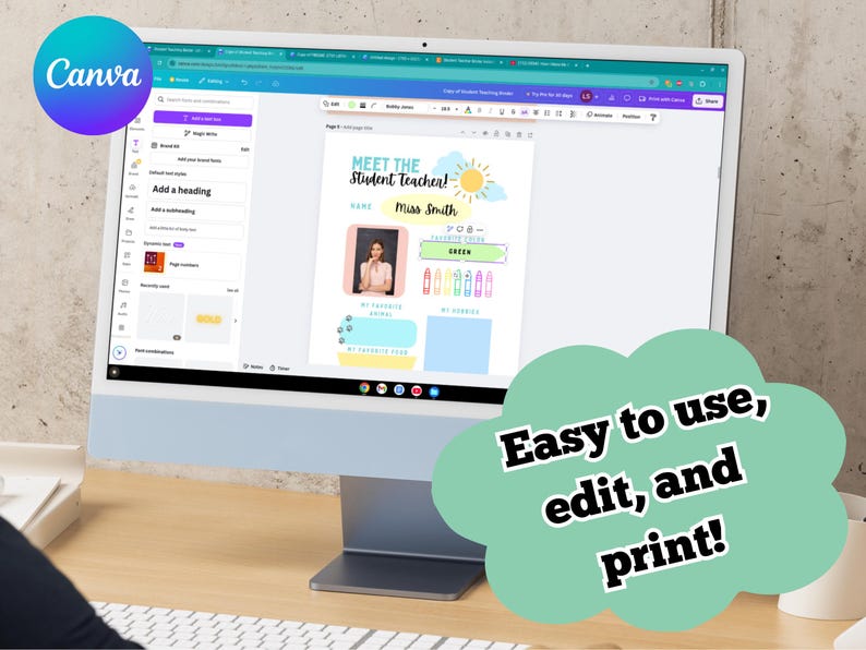 Student Teaching Binder: Editable Teacher Planner Templates (canva ...