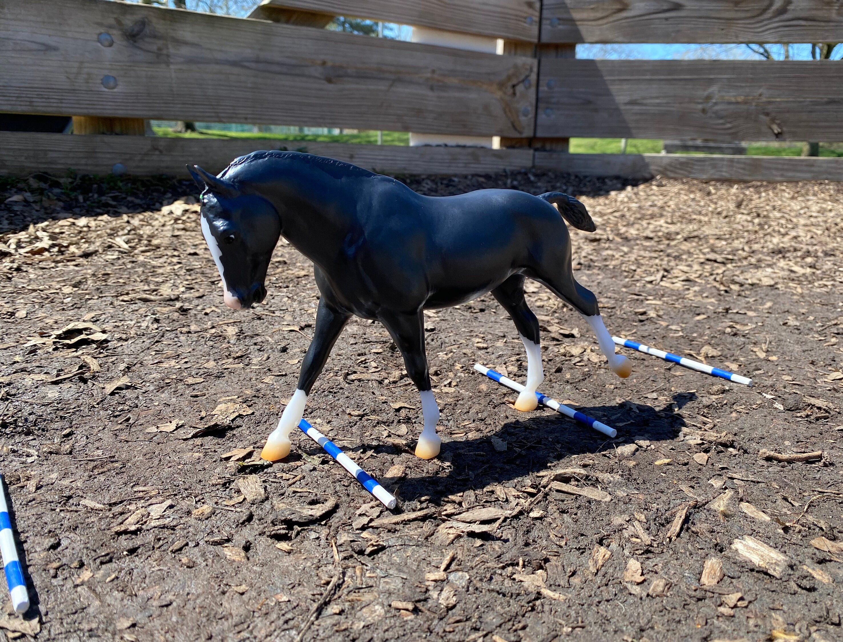 Model Horse Ground Poles - Etsy