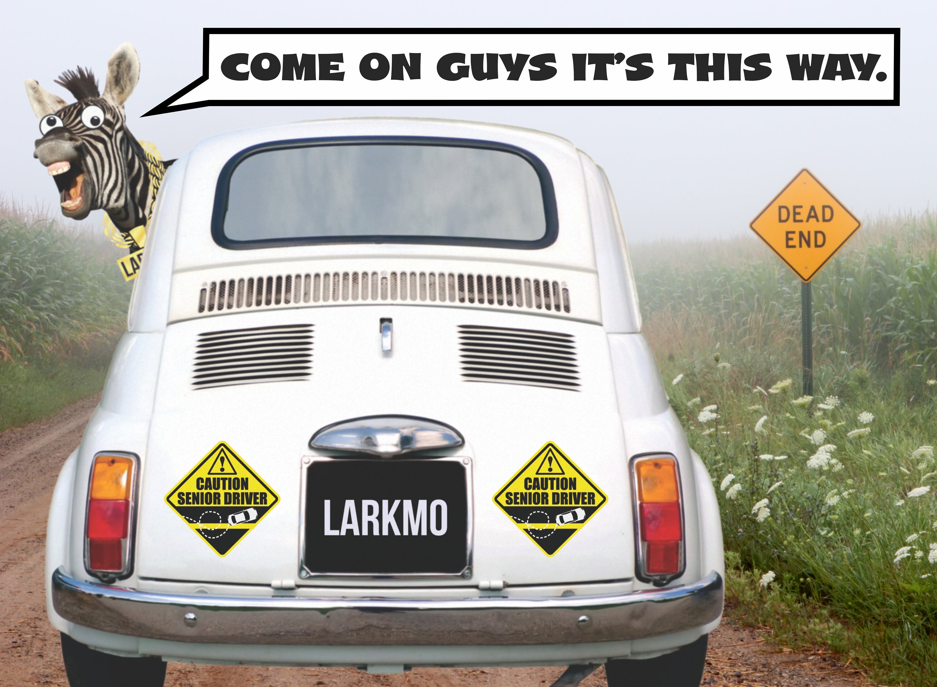 2 Funny Prank Caution Senior Driver Car Magnet Sign Gag Gifts for ...