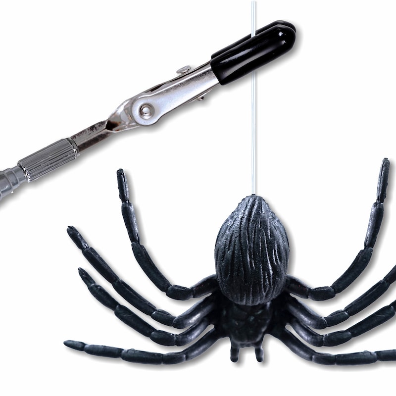 Spider Gag - Etsy