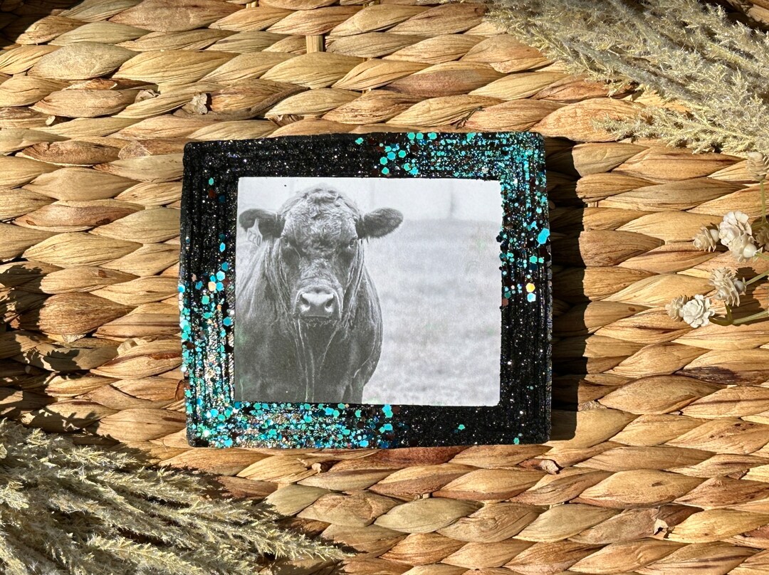 Bull Picture Frame Freshie, Cow Freshie, Western Car Accessories, Cow ...