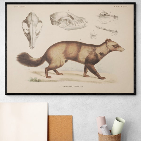 Extinct Animal Art - Etsy