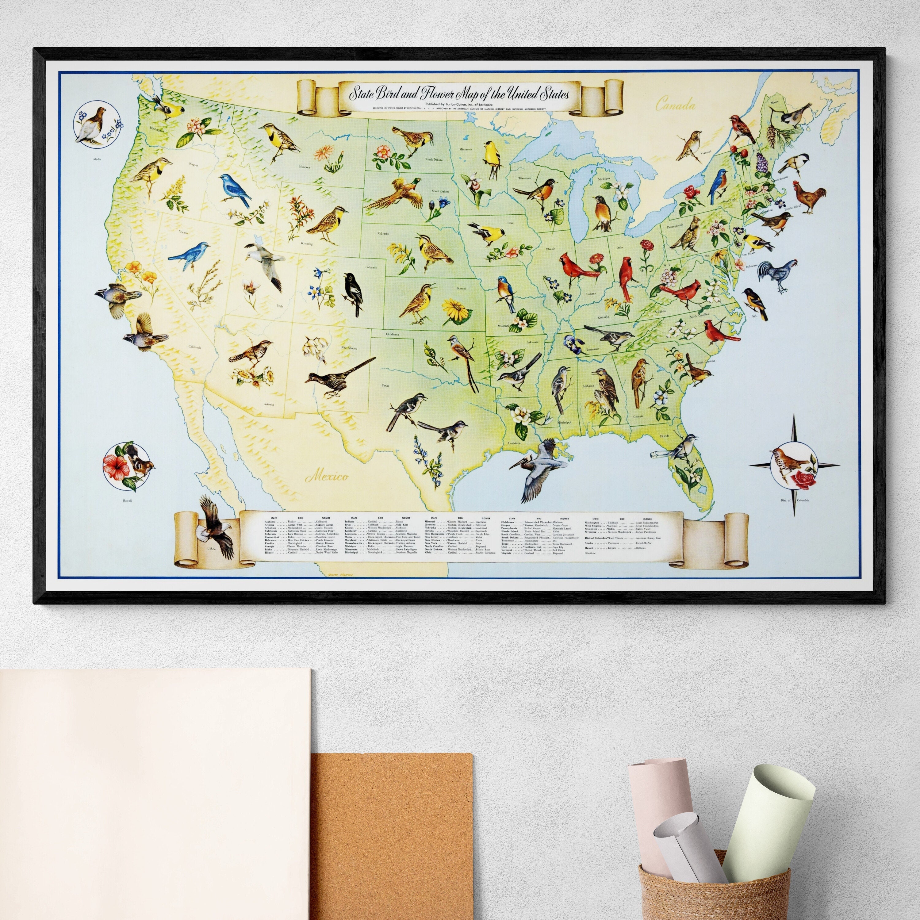 Map of Each State Bird Species and Flower Botanical Nursery - Etsy