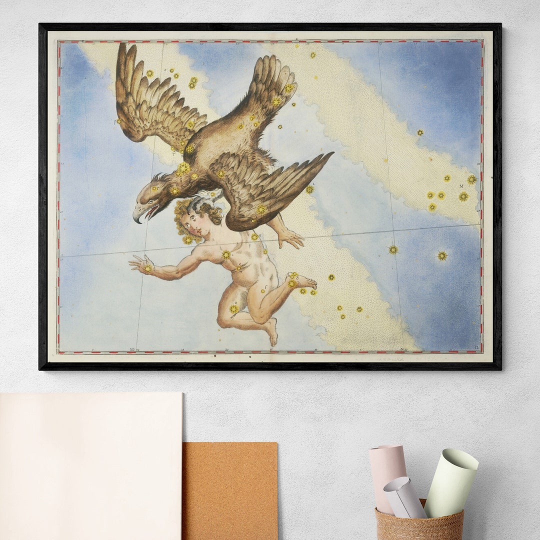 17th Century Aquila Zodiac Astrology Star Sign Constellation ...