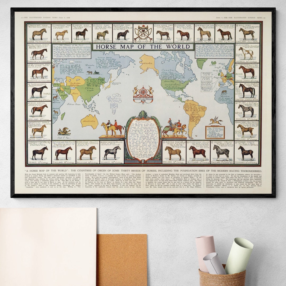 Horse Breed Map of the World Veterinary Office Decor Old - Etsy