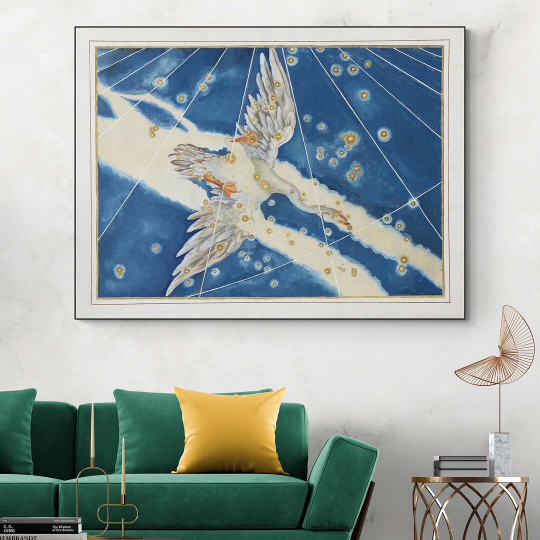 17th Century Cygnus Zodiac Illustration Star Sign Constellation ...
