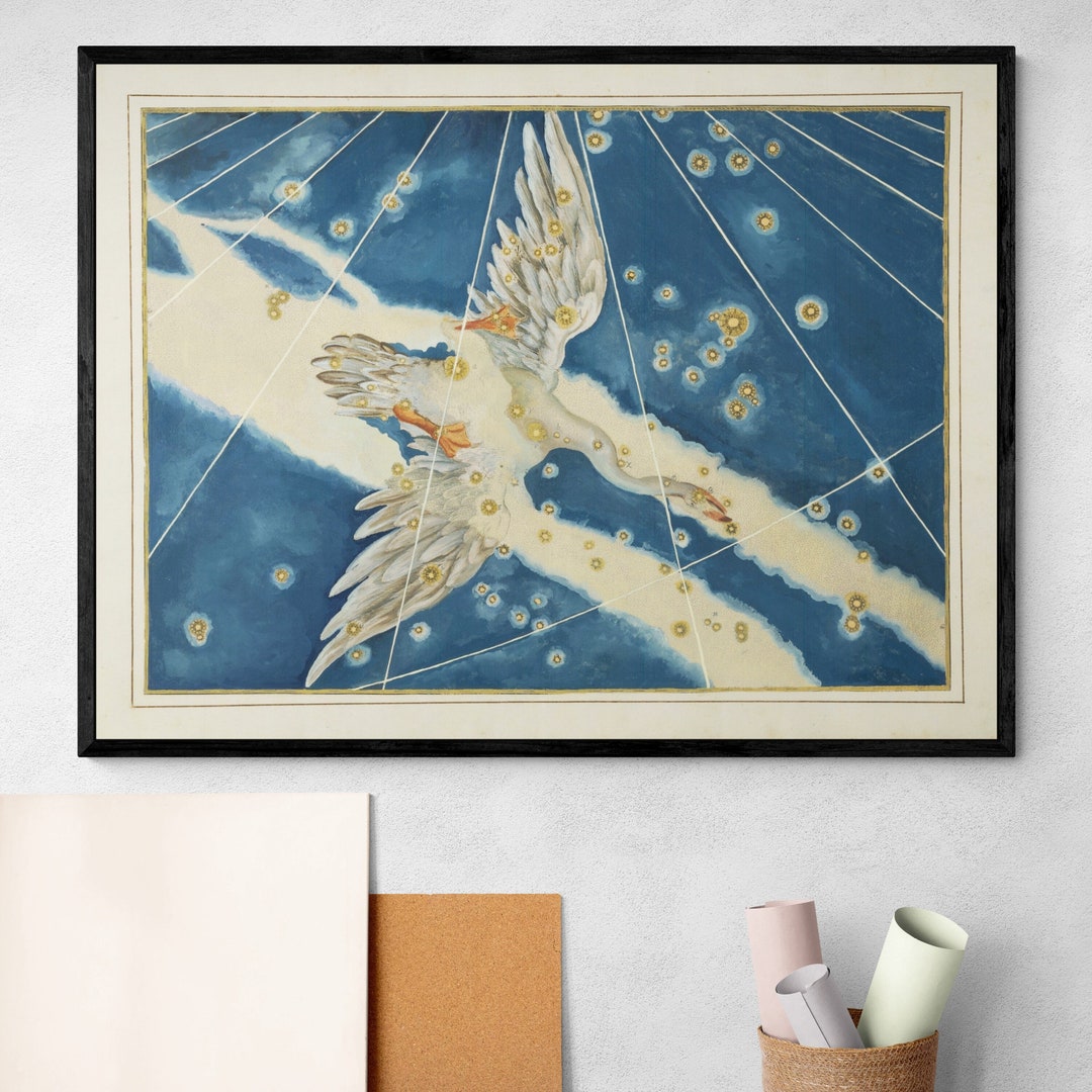 17th Century Cygnus Zodiac Astrology Star Sign Constellation ...