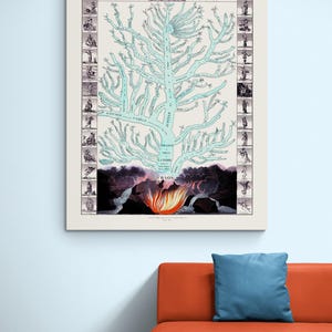 Family Tree of Ancient Roman Gods and Goddesses Chart Mythology ...