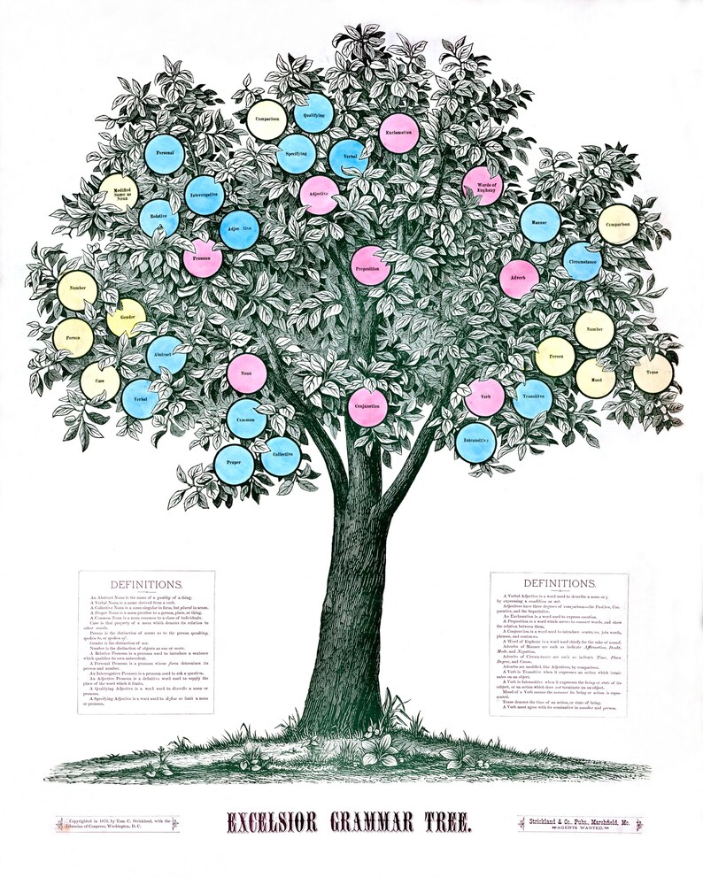 1874 Linguistic Grammar Chart English Language Educational - Etsy