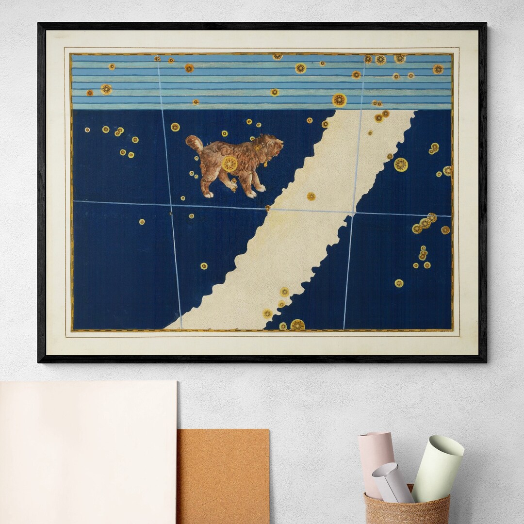 17th Century Canis Minor Zodiac Astrology Star Sign Constellation ...