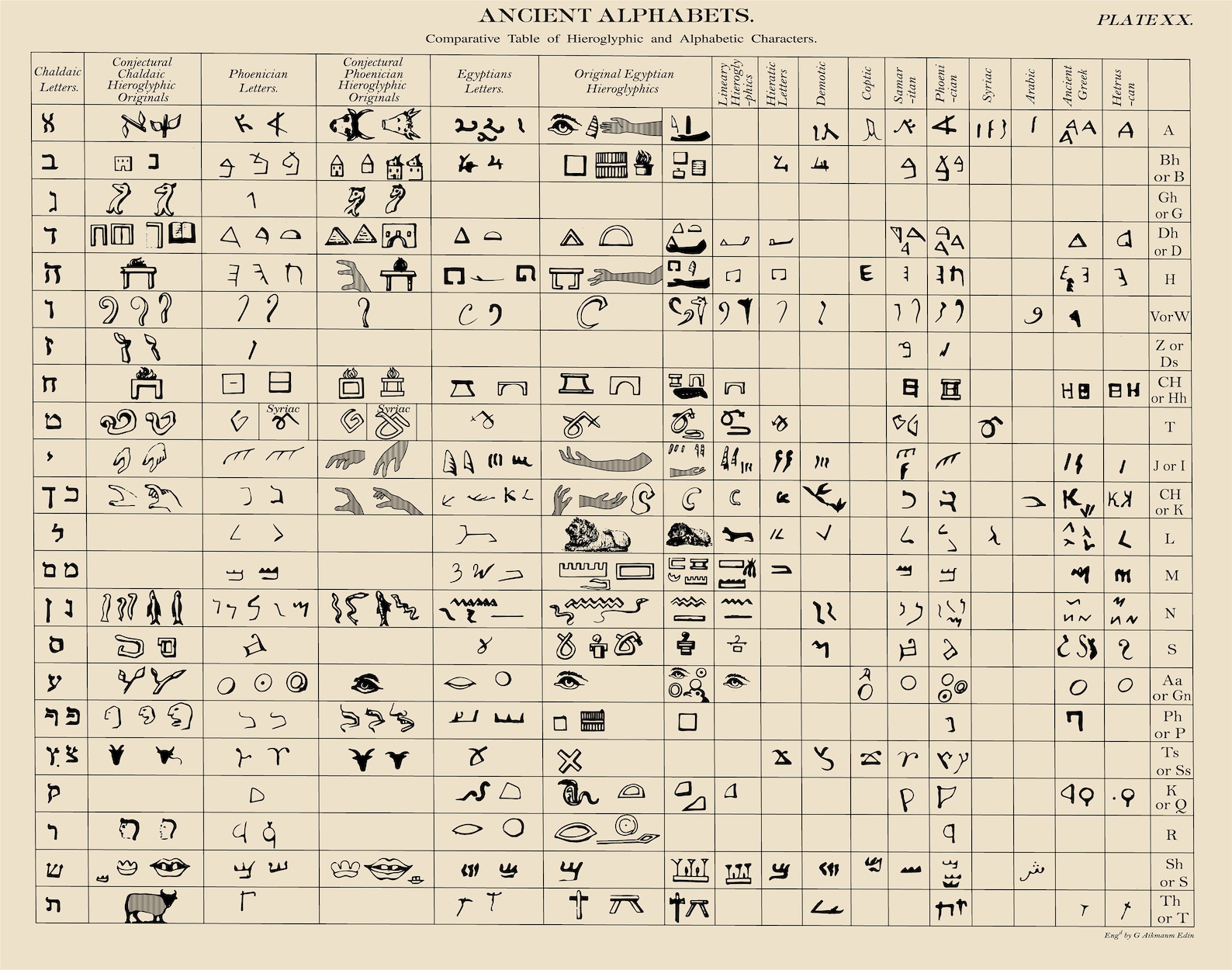 Chart Diagram of Ancient Alphabets Letters Symbols Language - Etsy UK