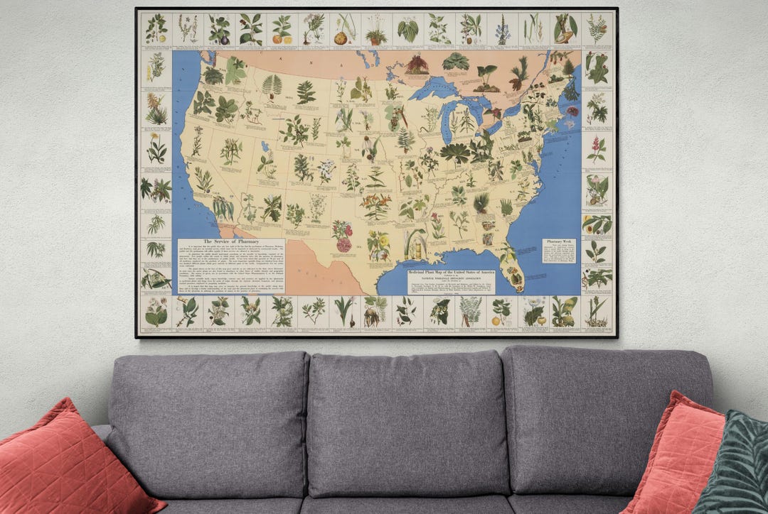1932 Medicinal Plant and Herb Map of the United States of America ...