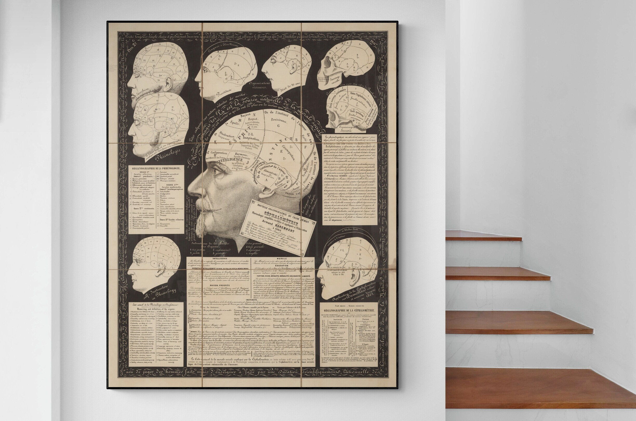 19th Century French Phrenology Chart Human Head Mind Map Brain Study ...