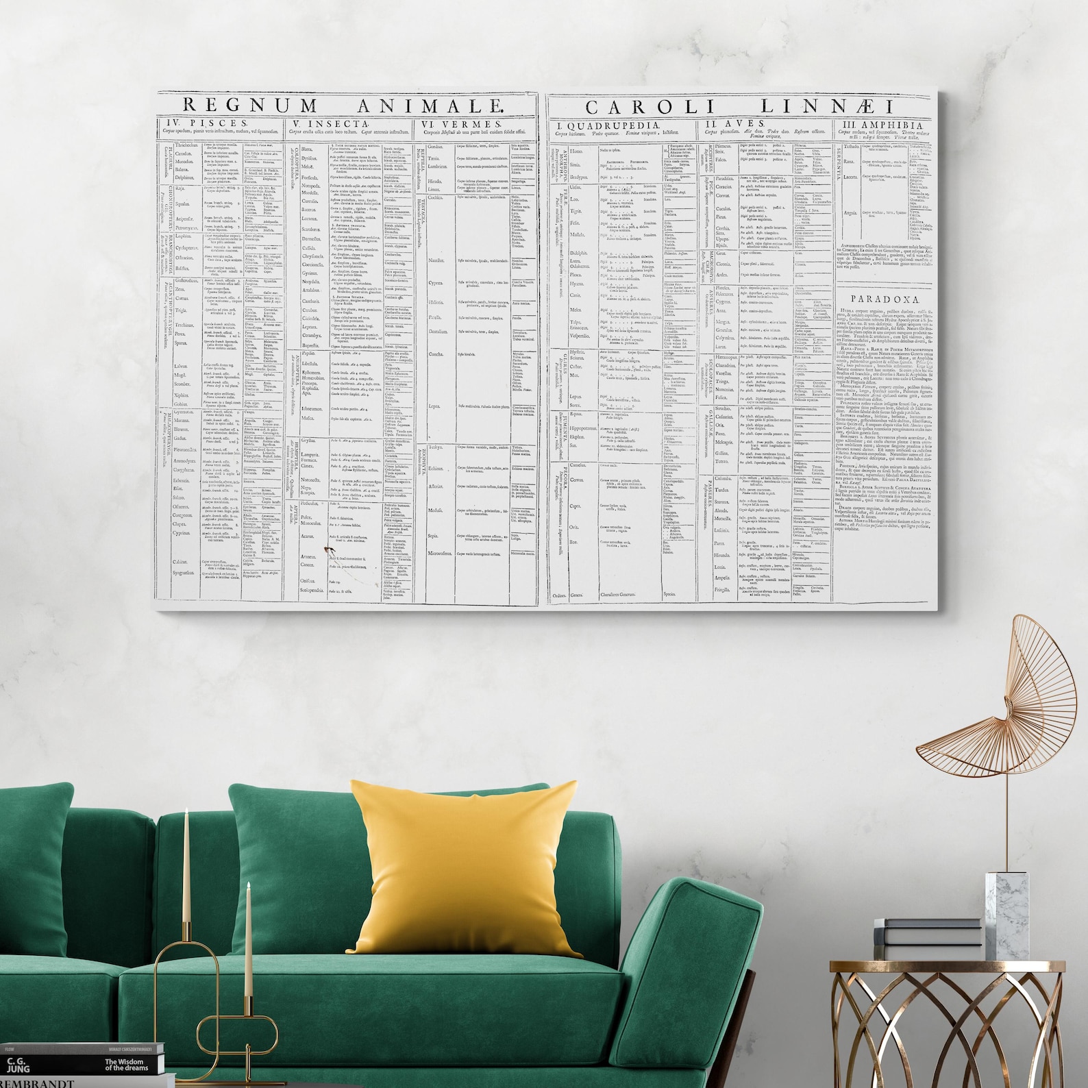1735 Carl Linnaeus Animal Kingdom Taxonomy Chart – Historic Zoological ...