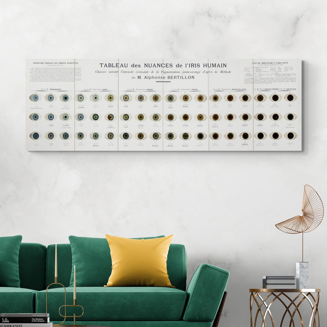 Alphonse Bertillon Eye Color Chart – 1893 Medical Science Art Print ...