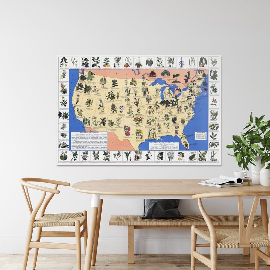 Pictorial Medicinal Plant and Herb Map of the United States American ...