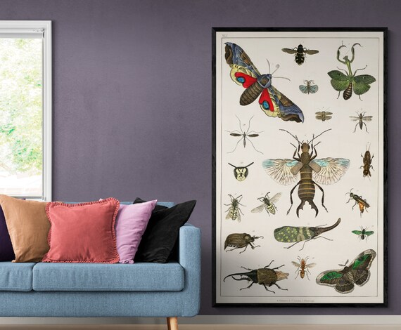 Insect Bug Collage Moth Wasp Hornet Bee Beetles Mantis - Etsy
