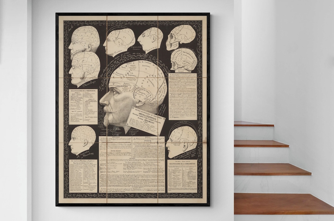 19th Century French Phrenology Chart Human Head Mind Map Brain - Etsy