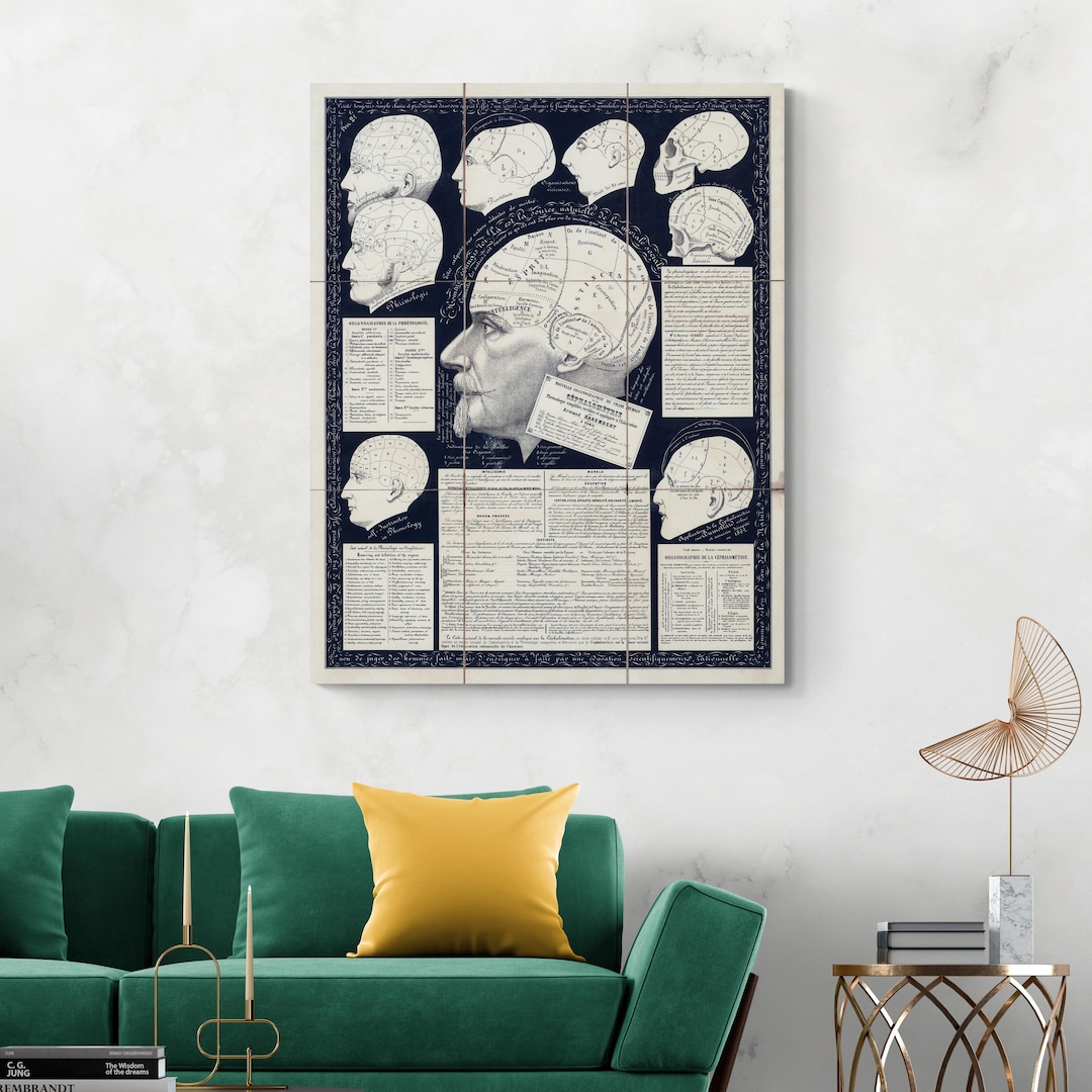 1867 Phrenology Skull Map – Victorian-era Diagram Depicting ...