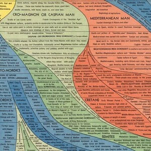 The Histomap of Evolution Human Life History Antique History Vintage ...