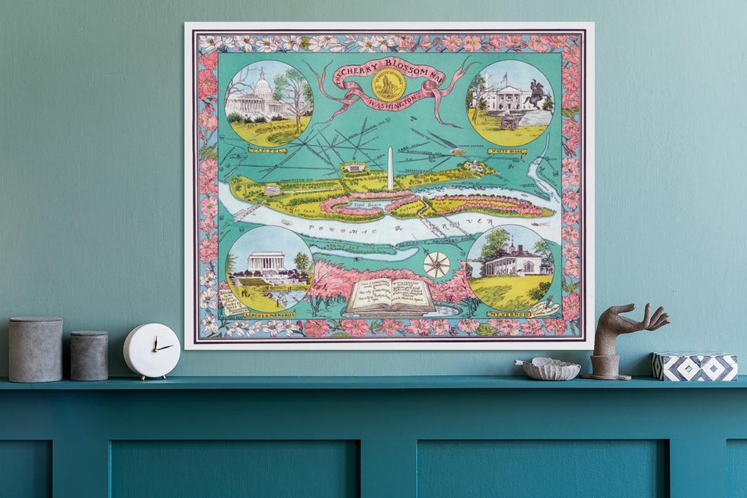 Cherry Blossom Map of Washington DC American Botanical Geography ...