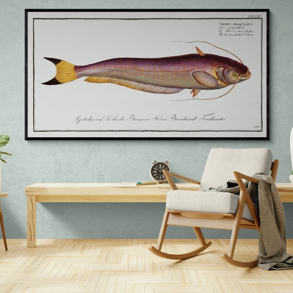 Marine Wildlife Art - Etsy