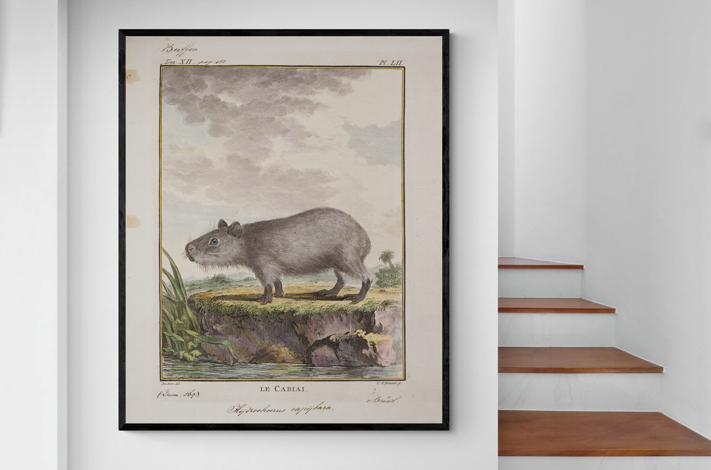 Capybara Vintage Wall Art Wildlife Nursery Classroom Decor - Etsy
