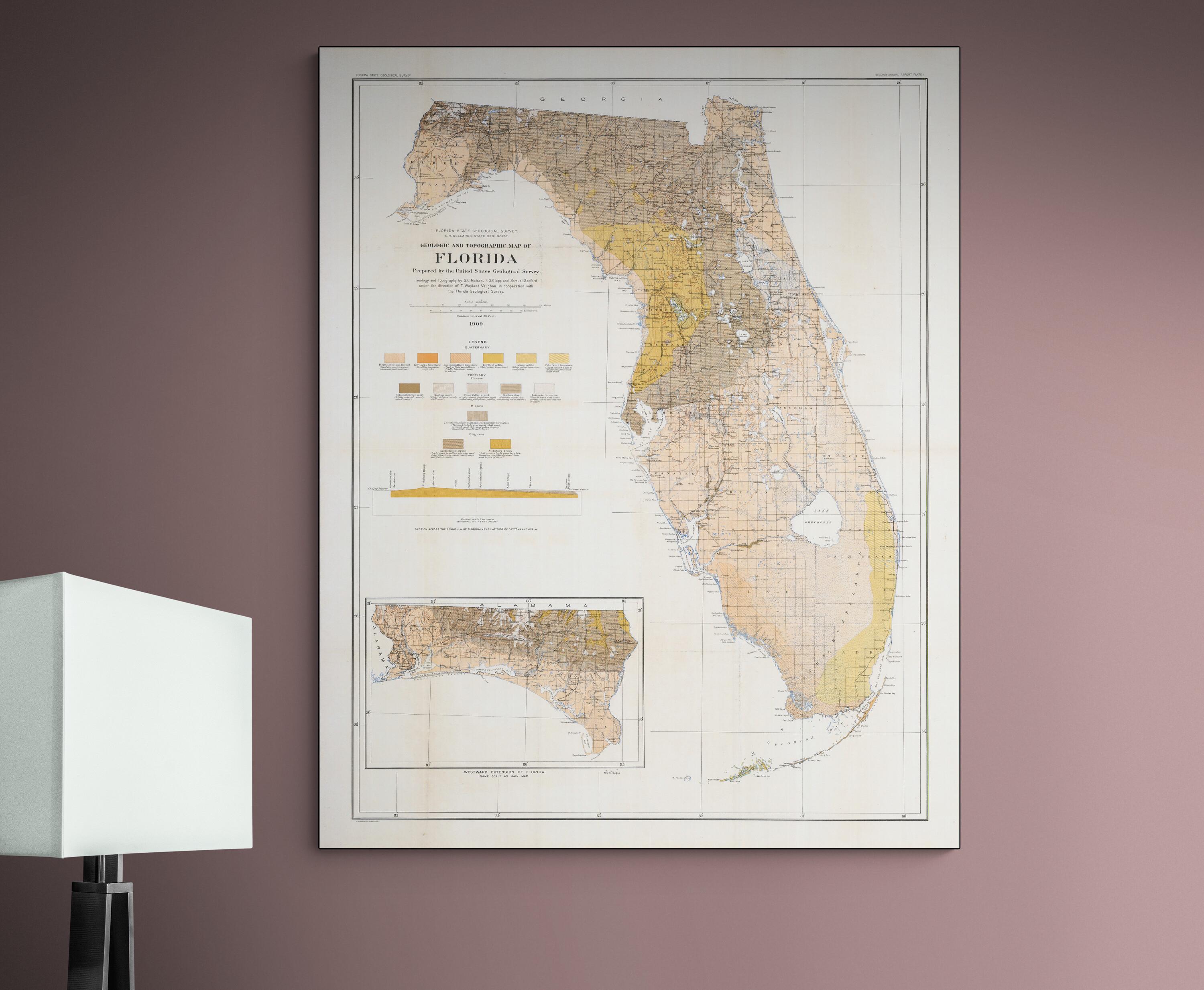 1909 Geological Map of Florida – Early 20th Century Scientific Survey ...