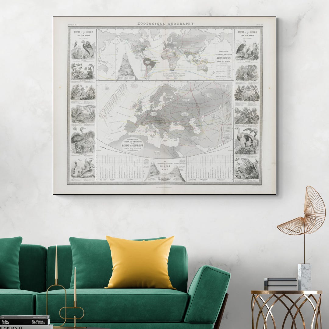 19th Century Bird Distribution Map of the World – Ornithological ...