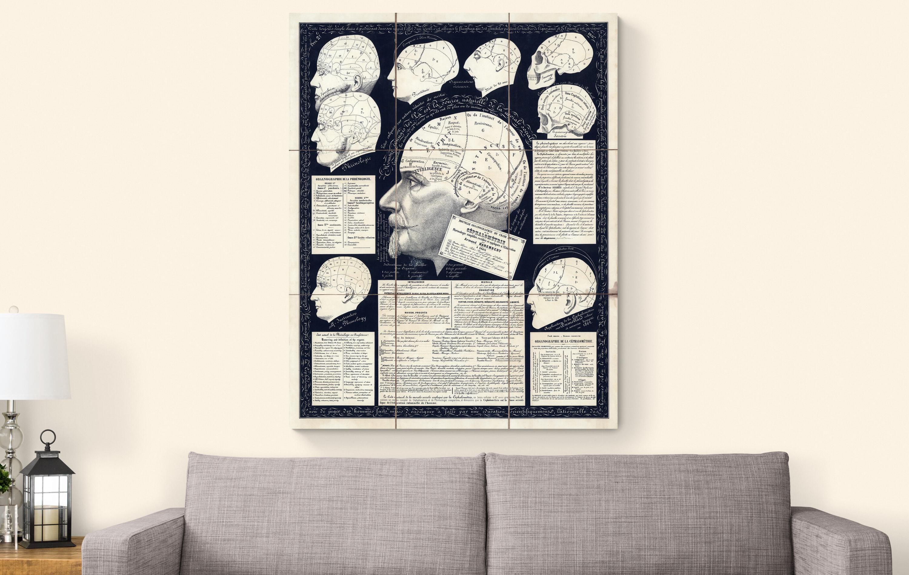 1867 Phrenology Skull Map – Victorian-era Diagram Depicting ...