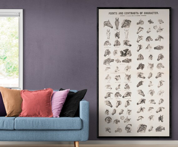 Horse Emotion Chart Veterinary Office Decor Equestrian Gift - Etsy