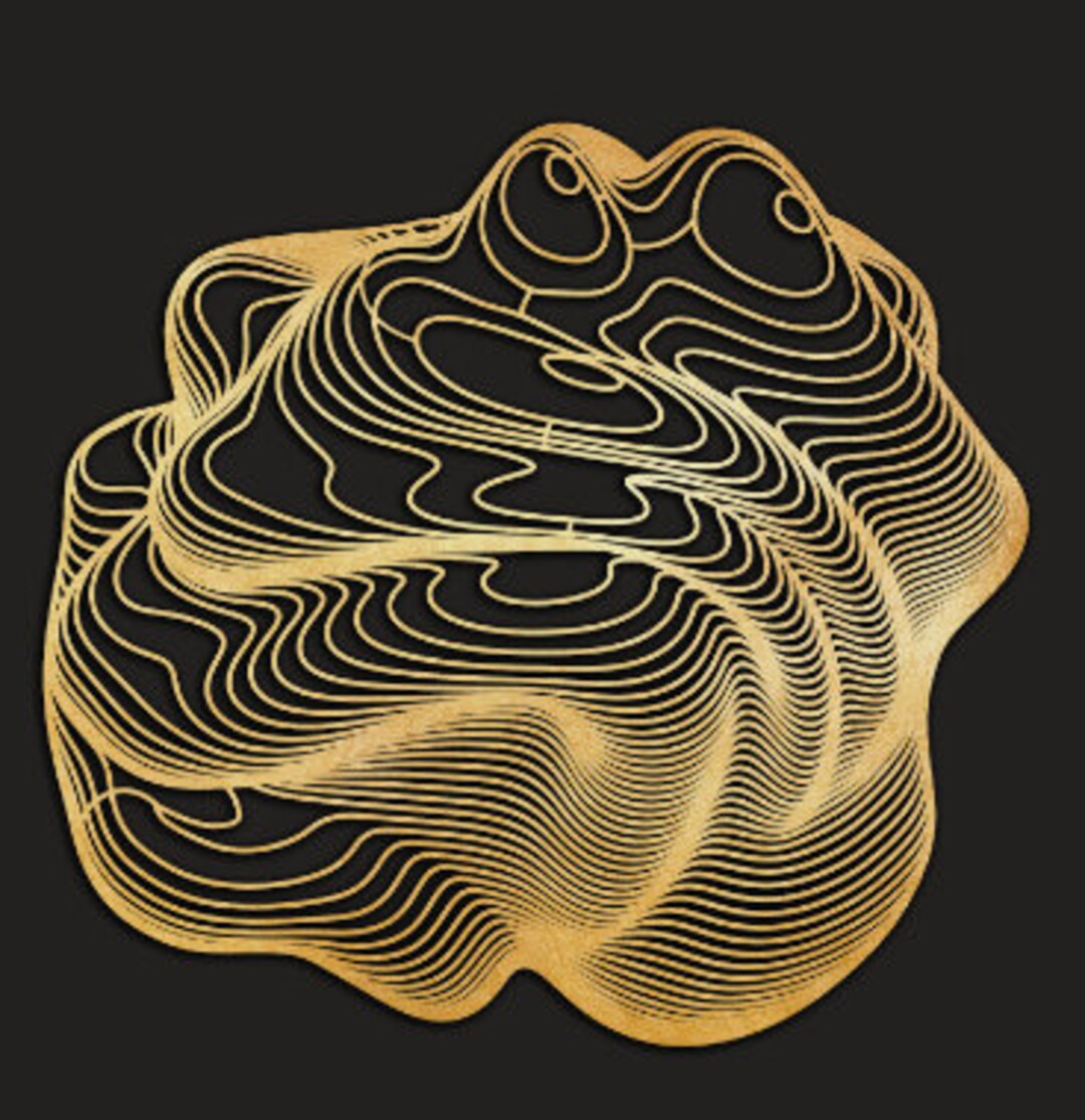 Golden Metal Irregular Wall Sculpture,unique Wall Decor,abstract Wall ...