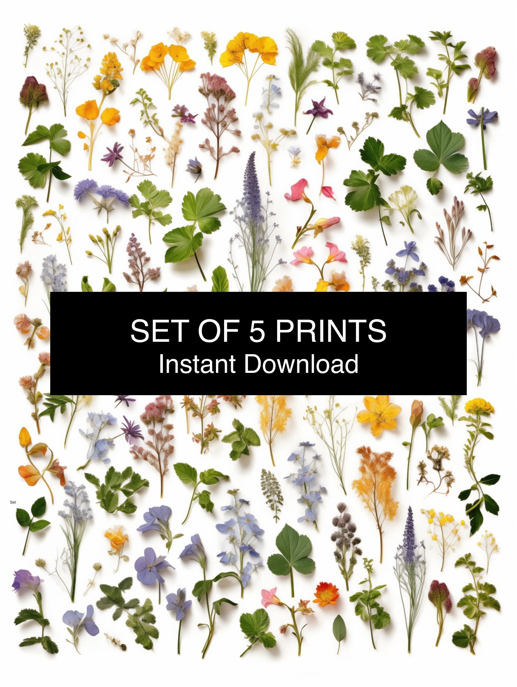 High-resolution Flower Print Set - Botanical Poster With Flowers ...