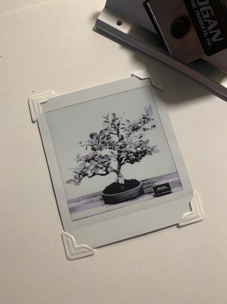 Palm Tree and Sky Instax Square Print Photograph Nature Print Biophilia ...