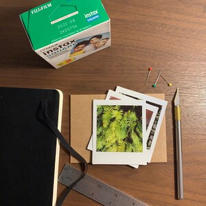 Palm Tree and Sky - Instax Square Print Photograph - Nature Print ...