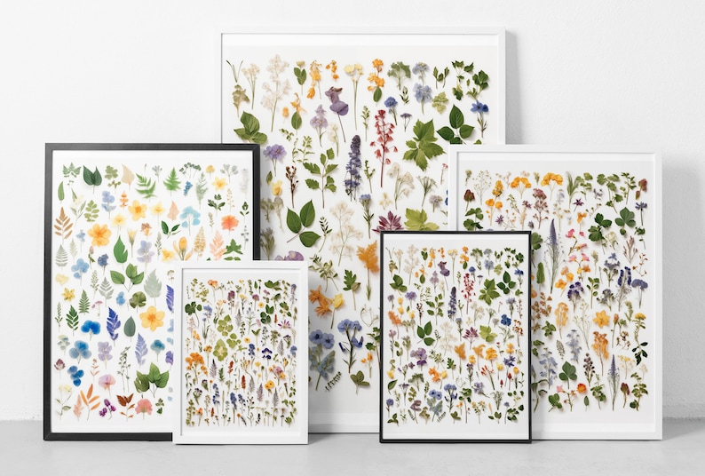 High-resolution Flower Print Set - Botanical Poster With Flowers ...