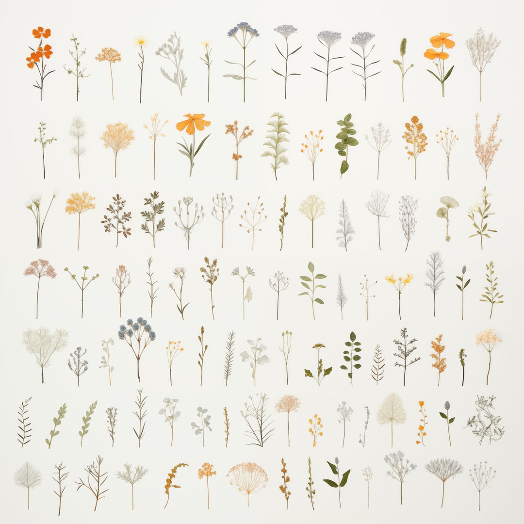High-resolution Botanical Print Set V2 - Botanical Poster - Botanical ...