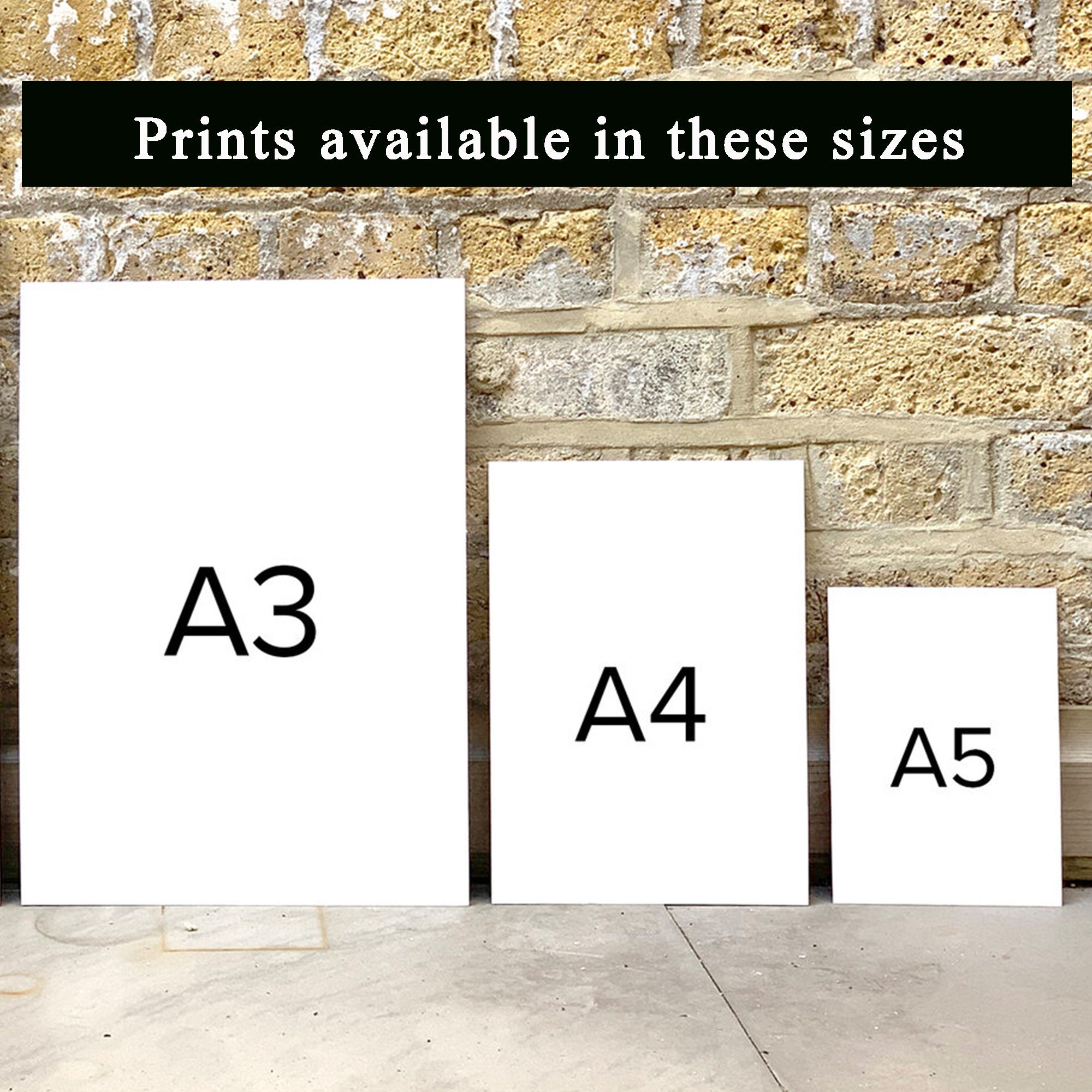 234. Portrait of Edwin Vom Rath's Pug 1880-1895 Conradijn Cunaeus Pug ...