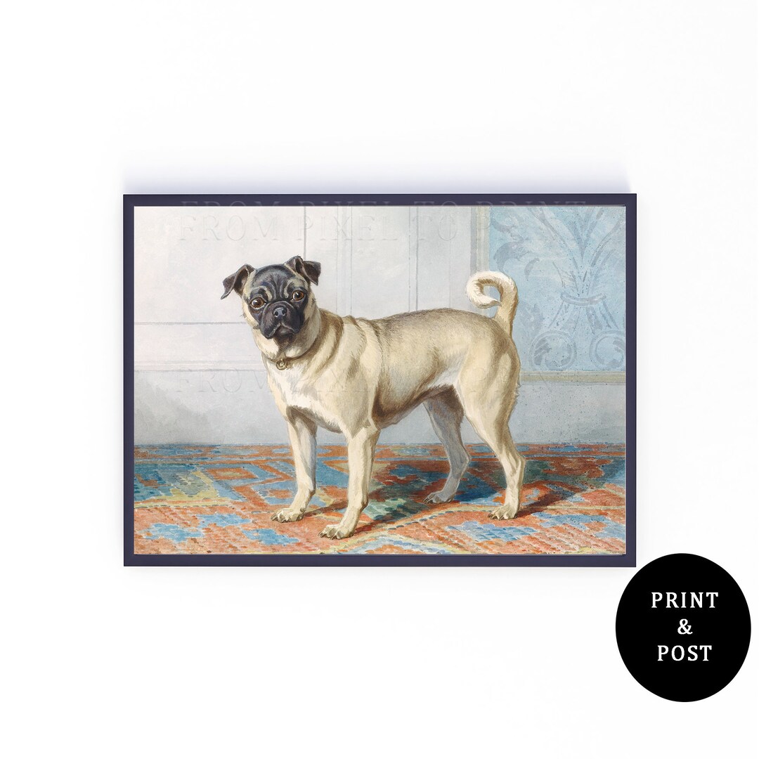 234. Portrait of Edwin Vom Rath's Pug - 1880-1895 - Conradijn Cunaeus ...