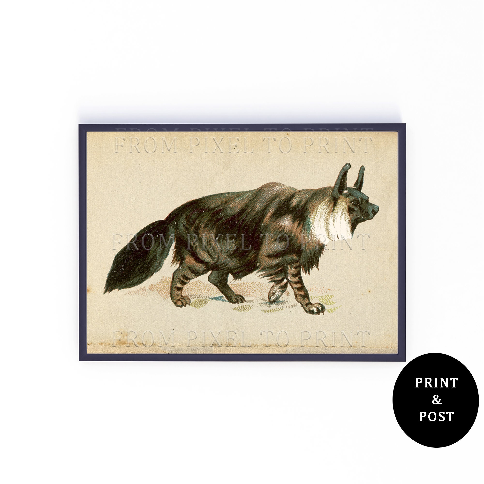 Vintage Black Fox Art Print, Colour Illustration, Available in A3, A4 ...