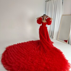 Red Long Dress.fire Dress for a Photo Shoot,endless Fluffy Trail,lots ...