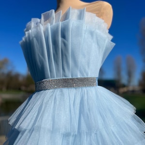Gorgeous Sick Fluffy Blue Dress,light Blue Ball Gown,multilayer Corset ...